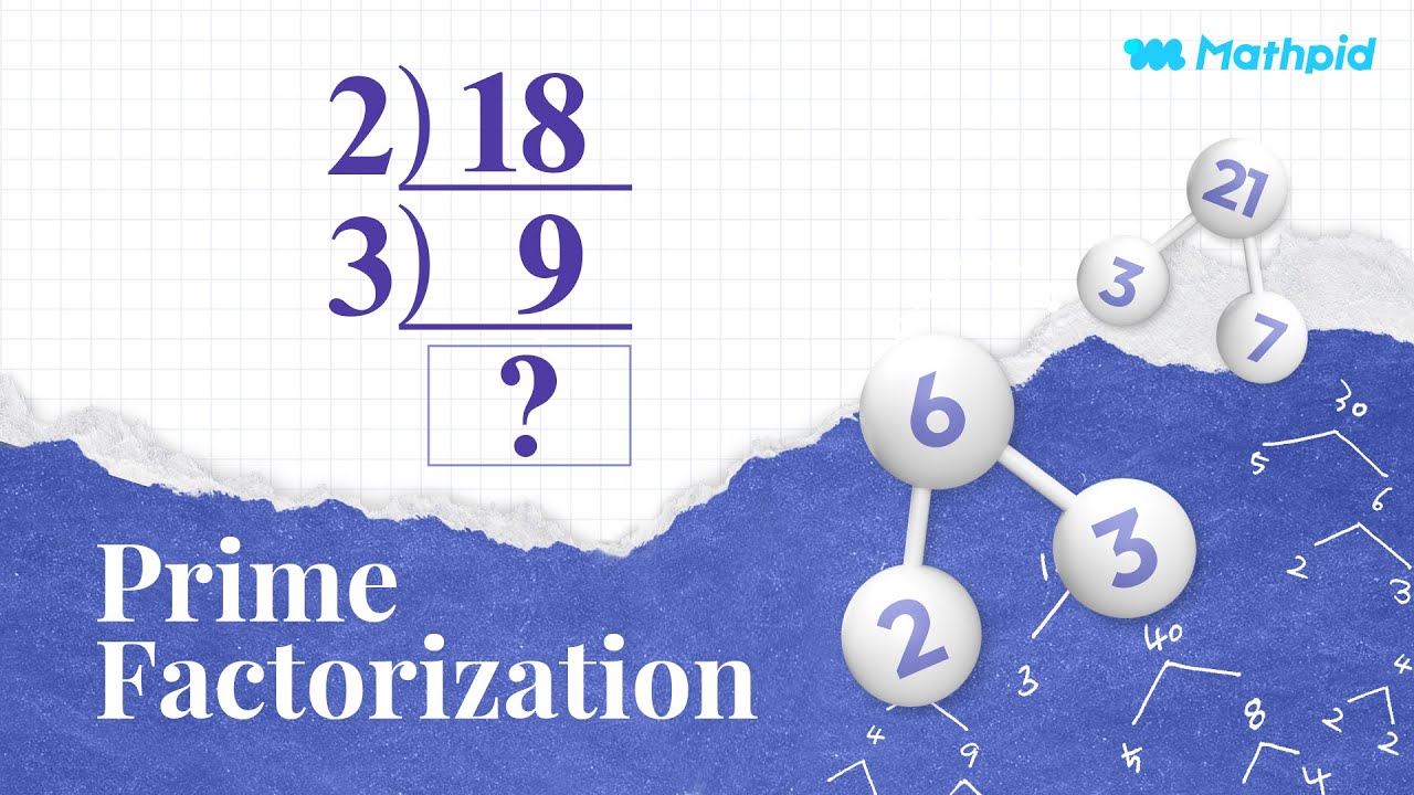 #Prime factorization | Math for grade5 | #Algebra [Mathpid] Explanation ...