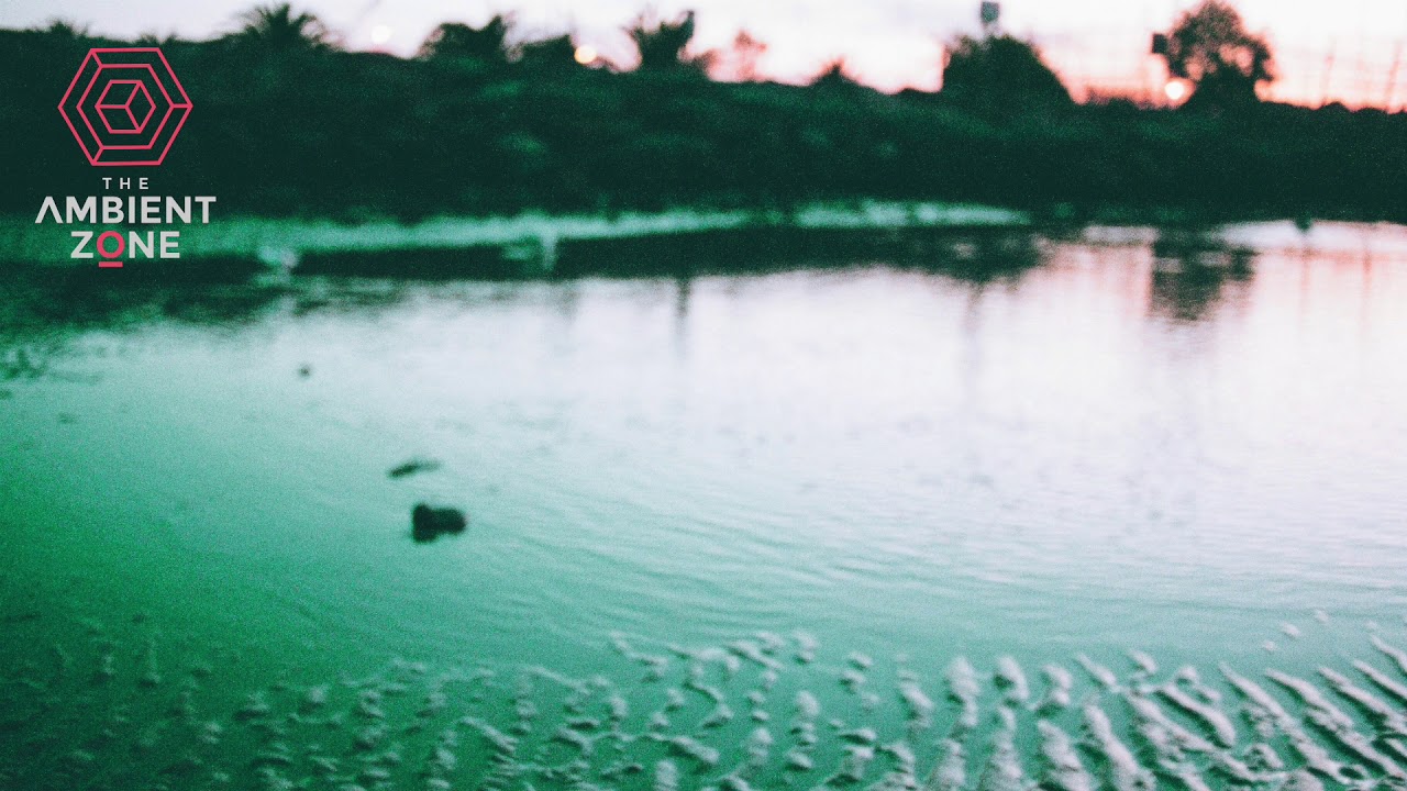 The Green Kingdom - La Mer Verte (The Ambient Zone) - YouTube