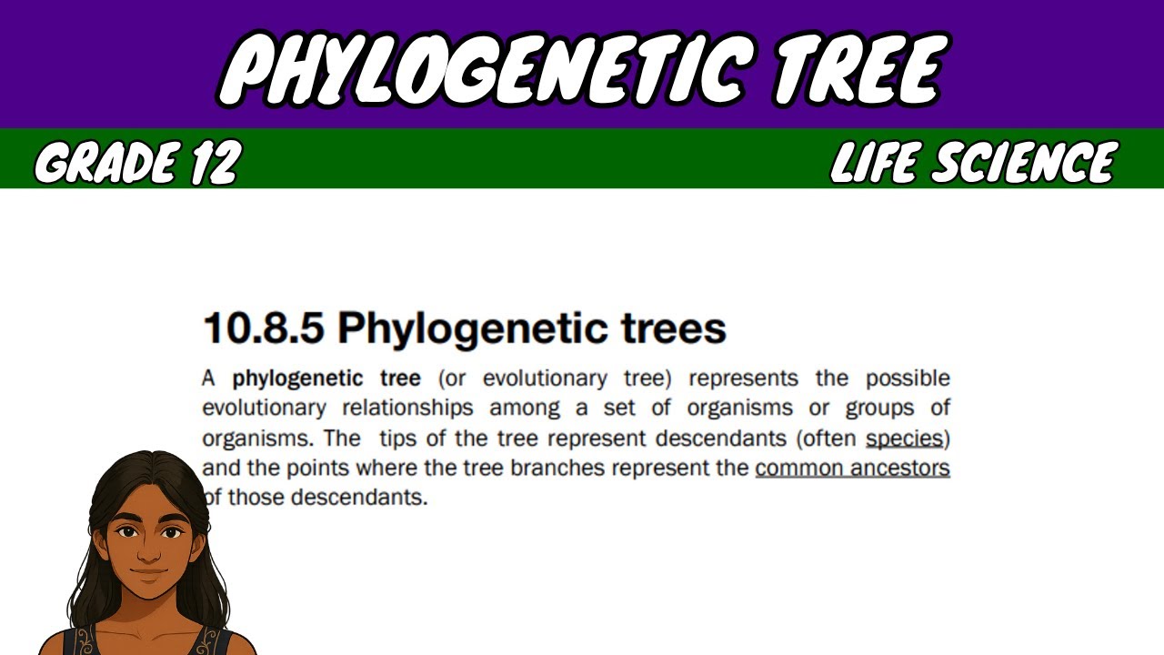 Phylogenetic Tree | Grade 12 Life Sciences - YouTube