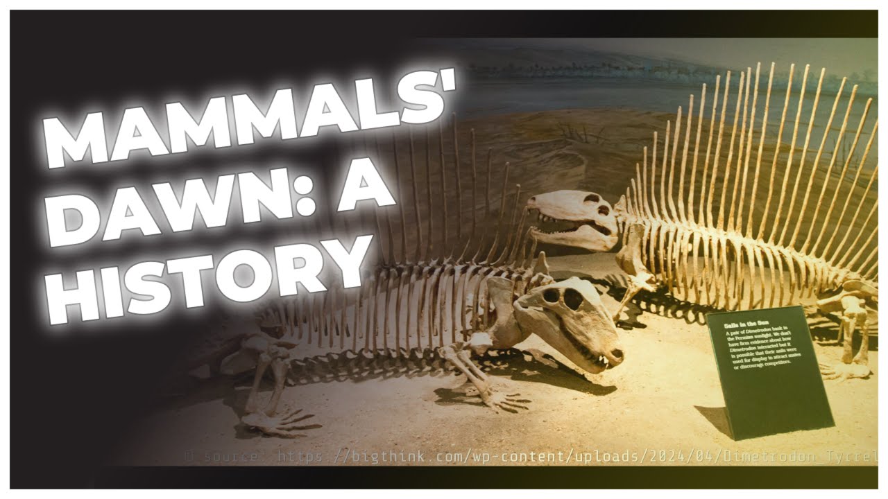 UNRAVELING THE DAWN OF MAMMALS: THEIR EMERGENCE AND TRIUMPH ON EARTH ...