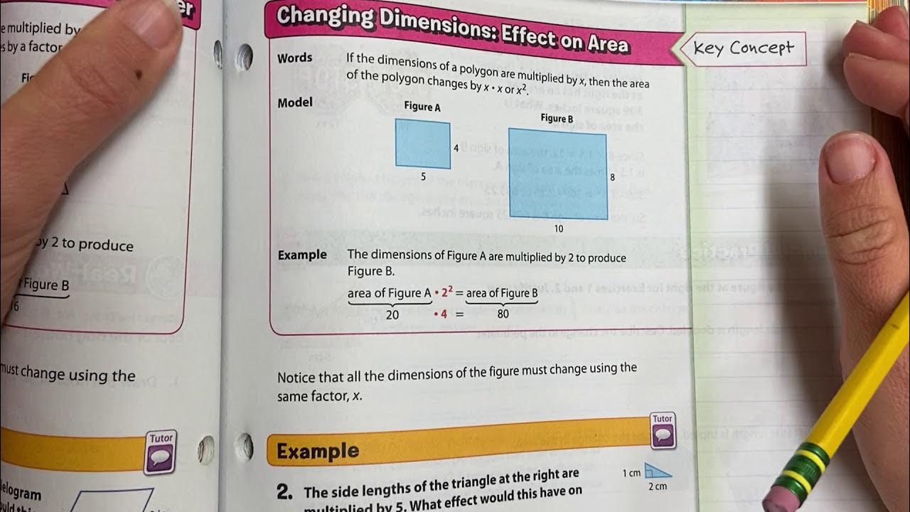 Grade 6 chapter 9 lesson 4 - YouTube