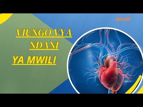 Viungo vya mwili - YouTube