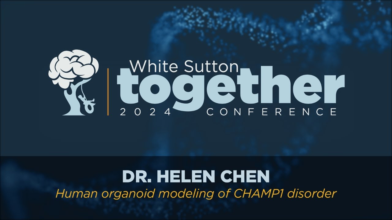 Human organoid modeling of CHAMP1 disorder - YouTube