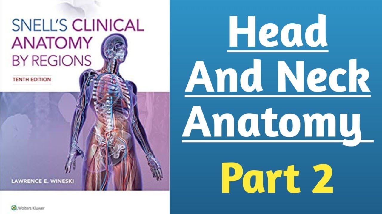 Snell's Clinical Head And Neck Anatomy (part 2) - YouTube