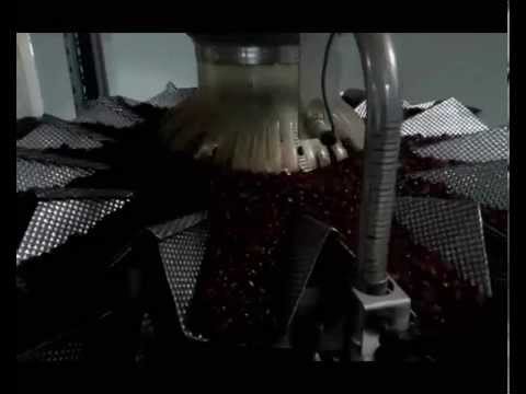 Packaging machine for packing dried fruits (raisins) - YouTube