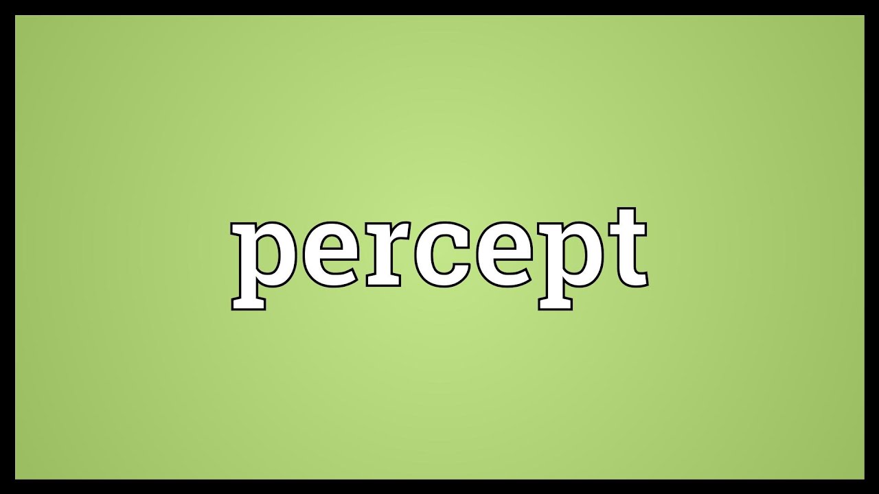 Percept Meaning - YouTube