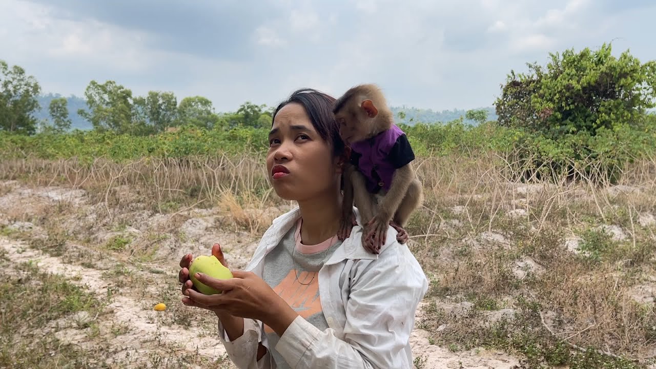 Baby Tav Tav Looking Mom Straight Waiting Mom Giving yummy Sweet Cashew ...