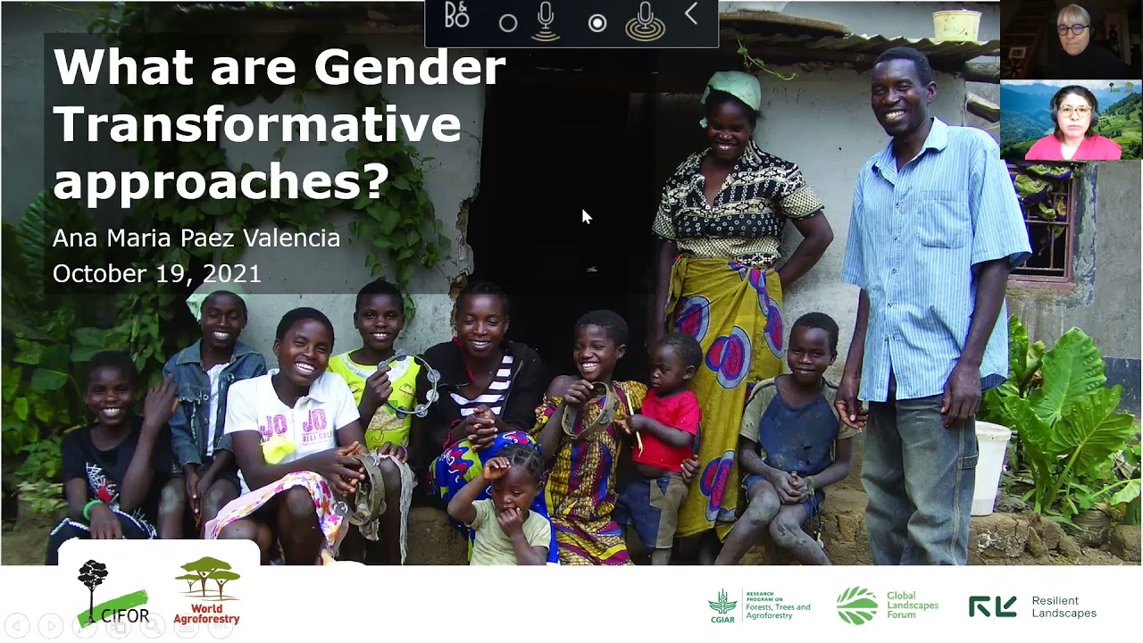 Gender transformative approach cross country learning - YouTube