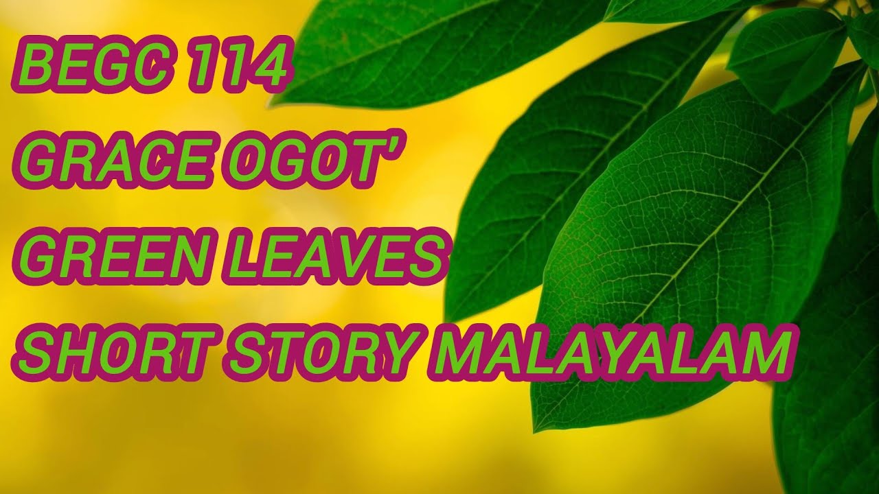 GRACE OGOT' GREEN LEAVES/BEGC 114/Post colonial literature /IGNOU - YouTube