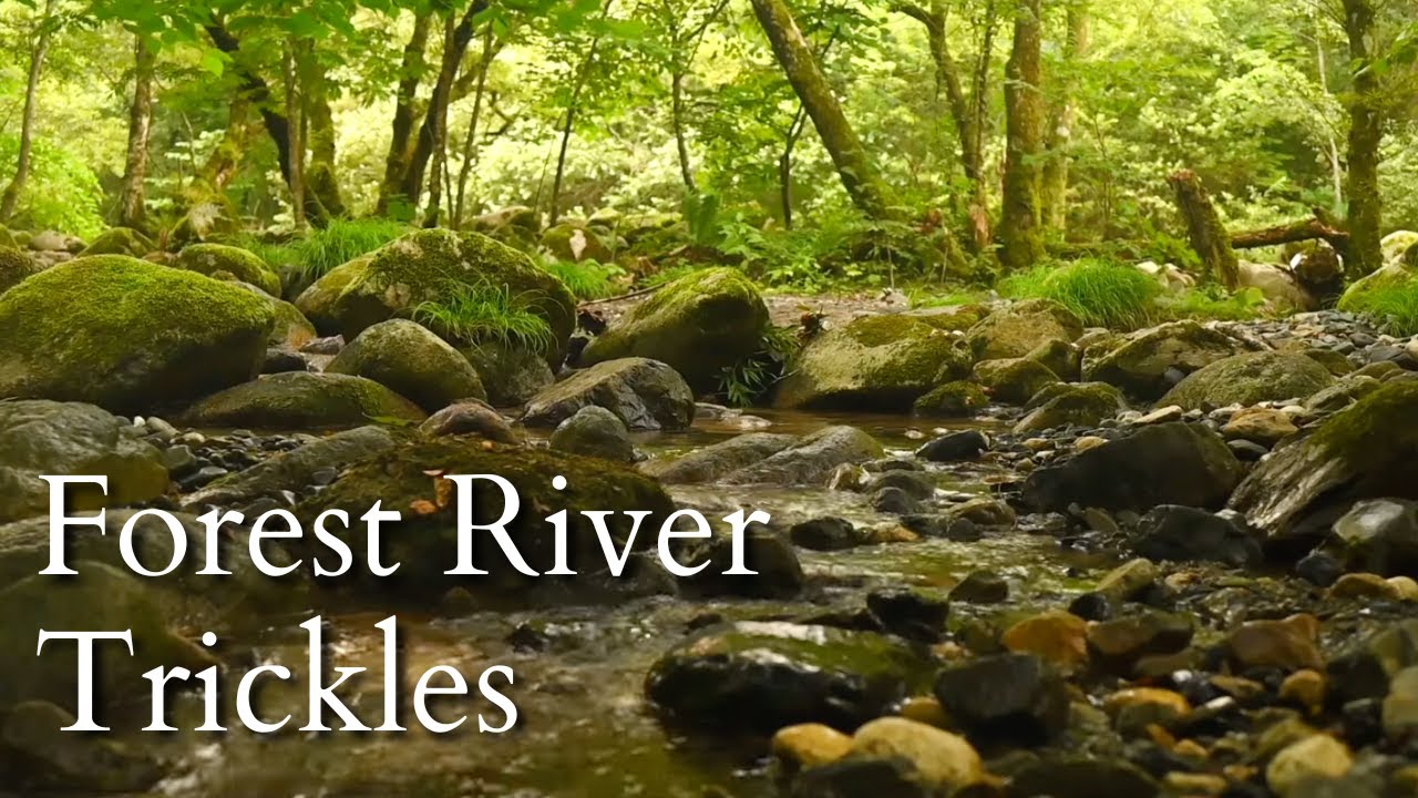 Trickling Water Sounds for Sleep - 10HRS of Bliss - YouTube