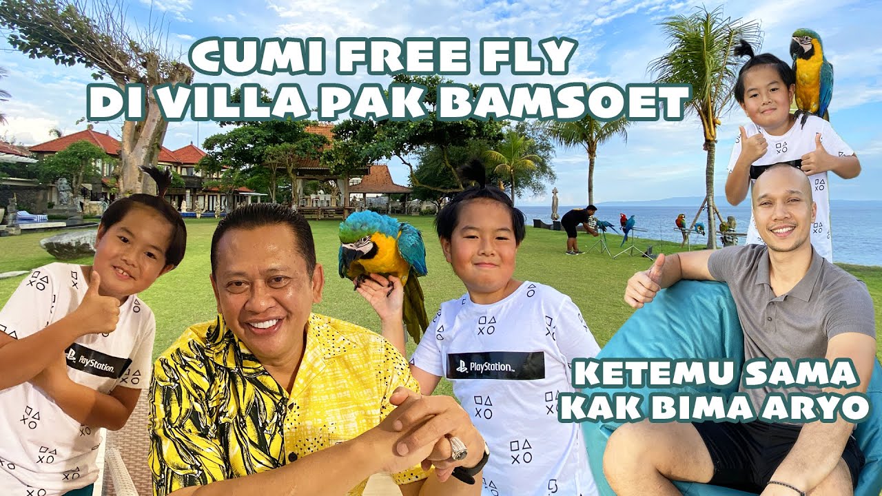 FREE FLY BARENG KOMUNITAS BURUNG MACAW DI BALI | JEJOY KETEMU KAK BIMA ...