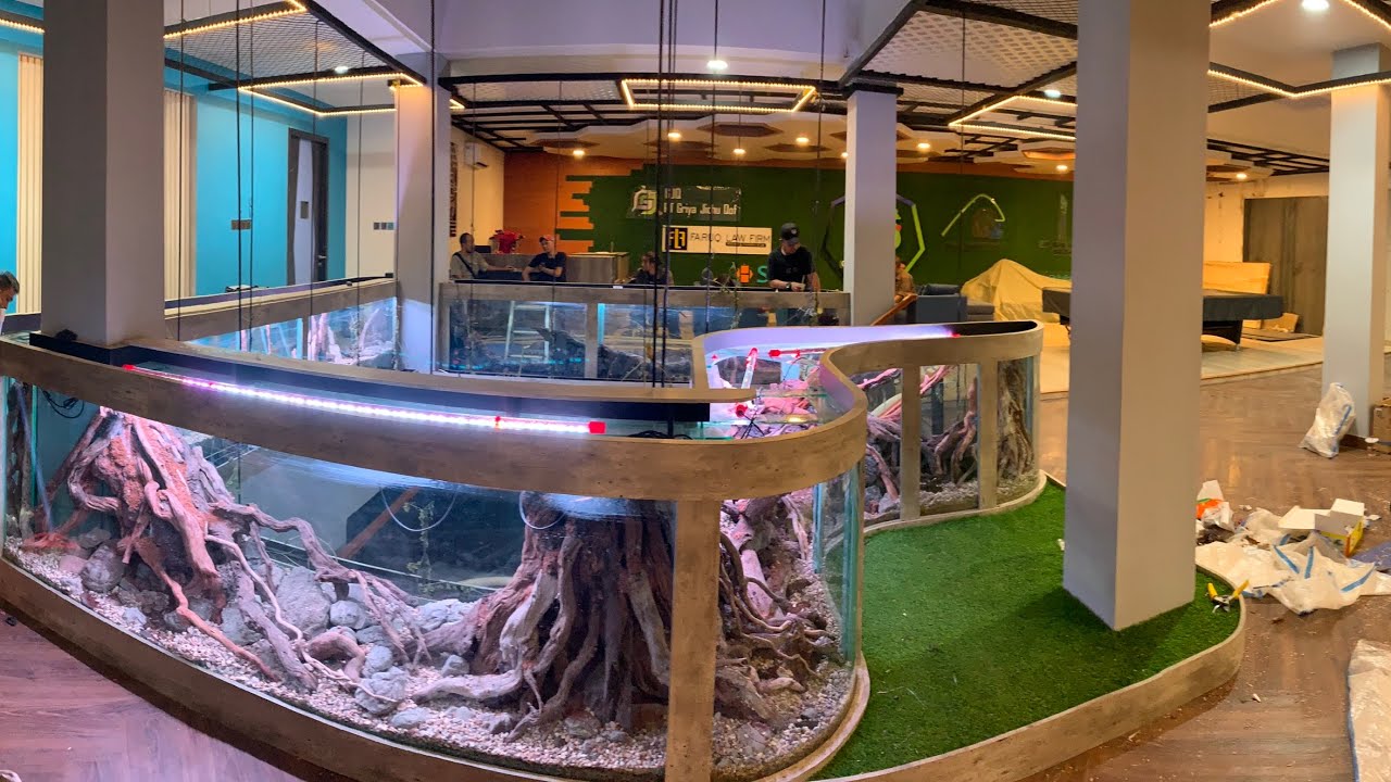 SETUP AQUARIUM PREDATOR U 80% part 2 - YouTube