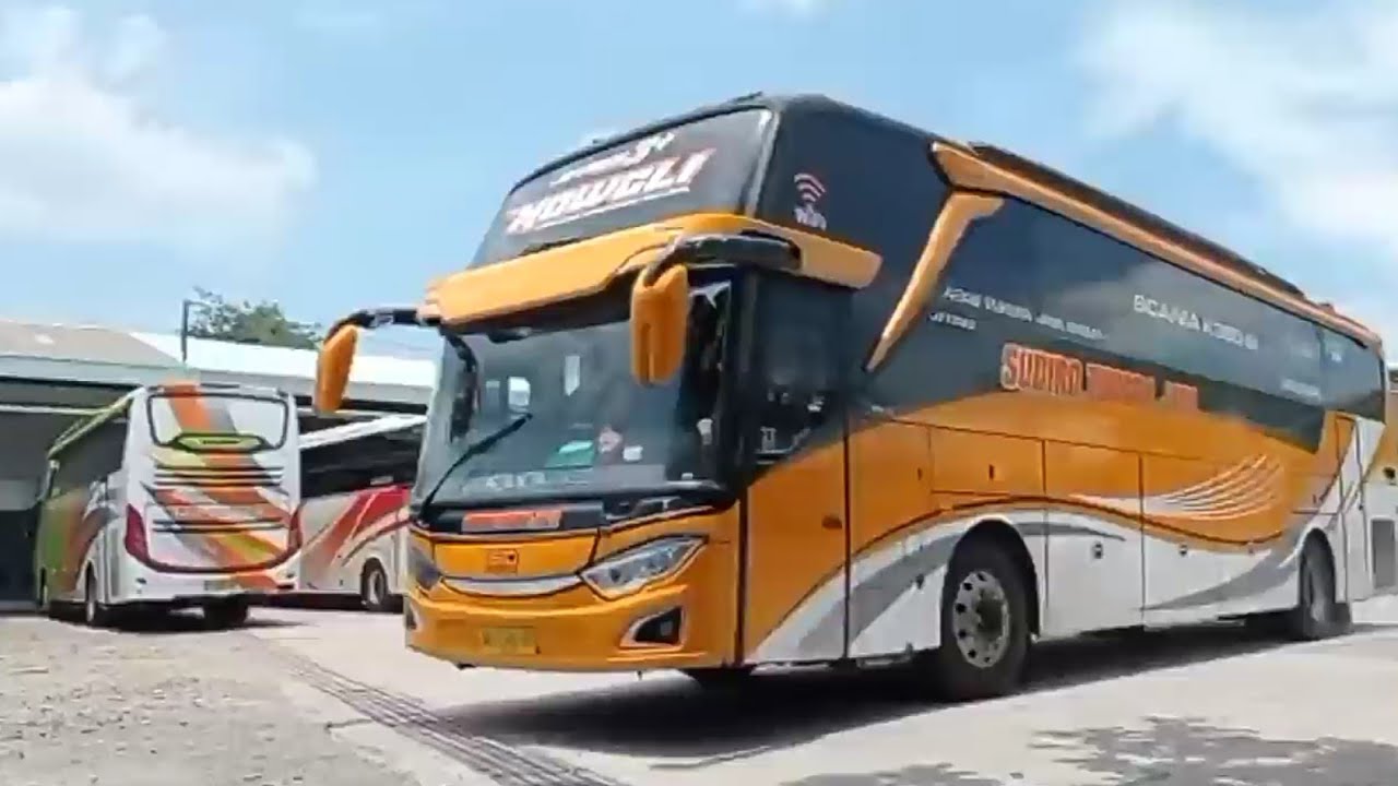 STJ Mowgli Dibawa Mas David ?? Kumpul Bis Premium STJ & Bis Lainnya ...