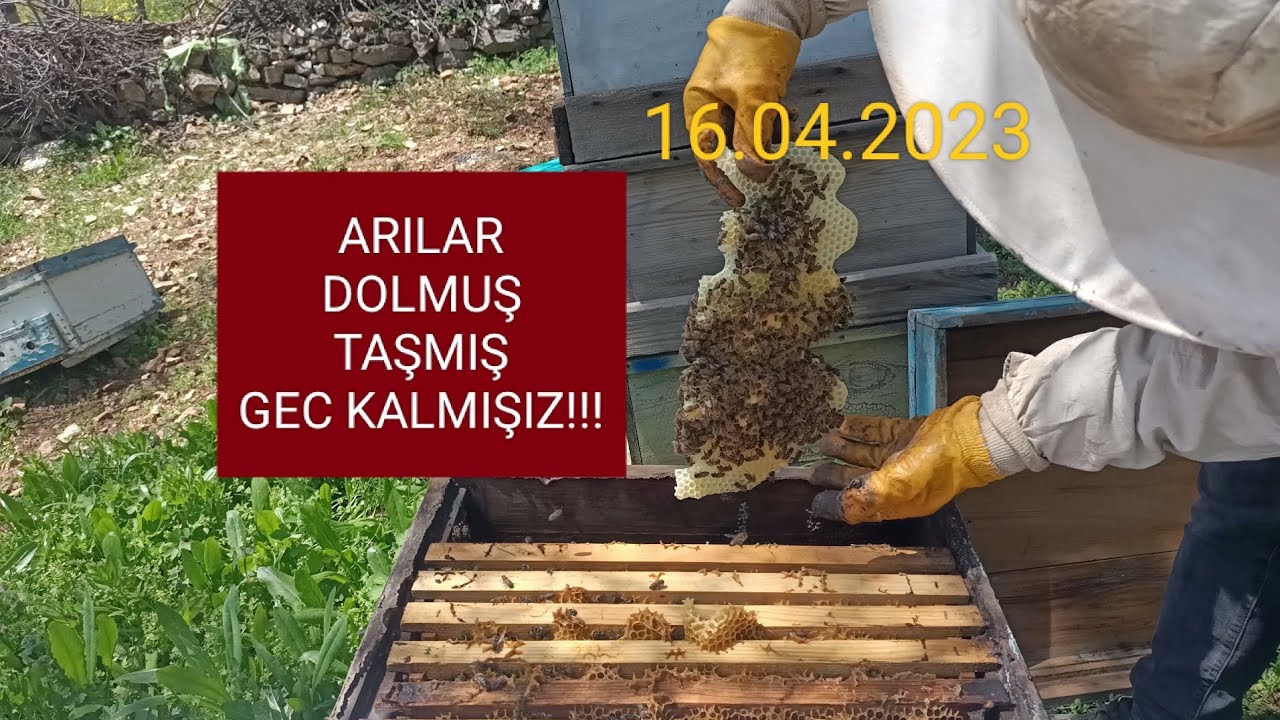 2023 ARI KOVAN KONTROLÜ #arıcılık #aricilik #beekeeping - YouTube