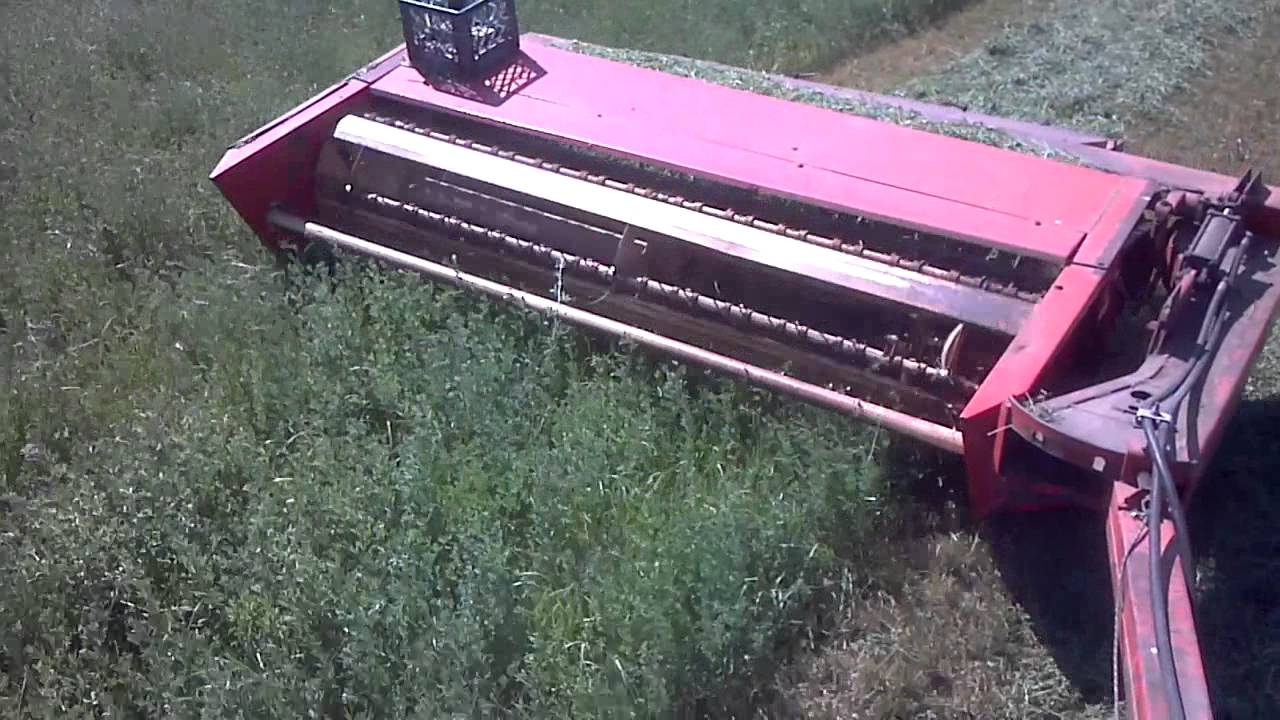 CASE 1030 and 555 haybine - YouTube