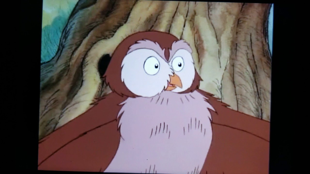 Owl - Little Bear's Mermaid - YouTube