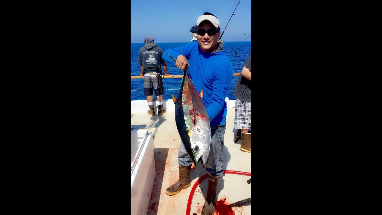 Basic Jigs Fishing Tips Part 2 - Surface Irons - YouTube