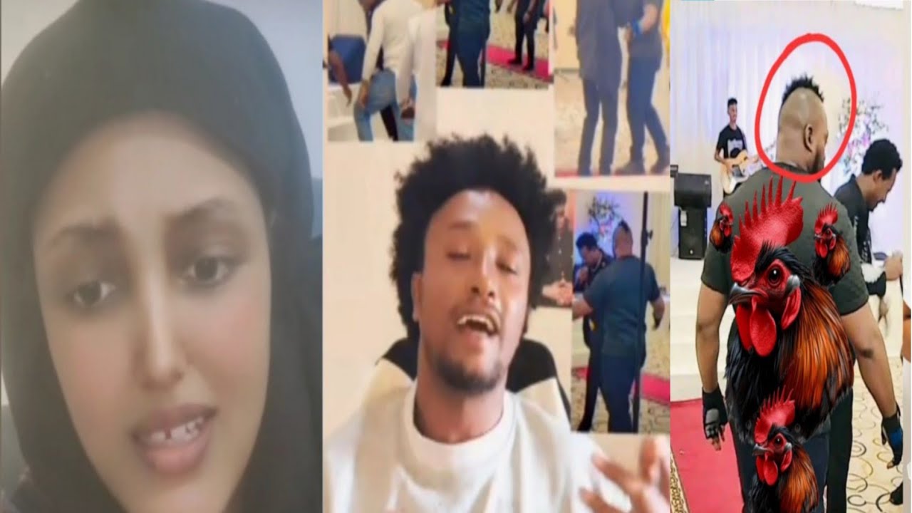 Sababa Ibro Ibsa Bareeddun Solan Irra Dhuke Kaaste - YouTube