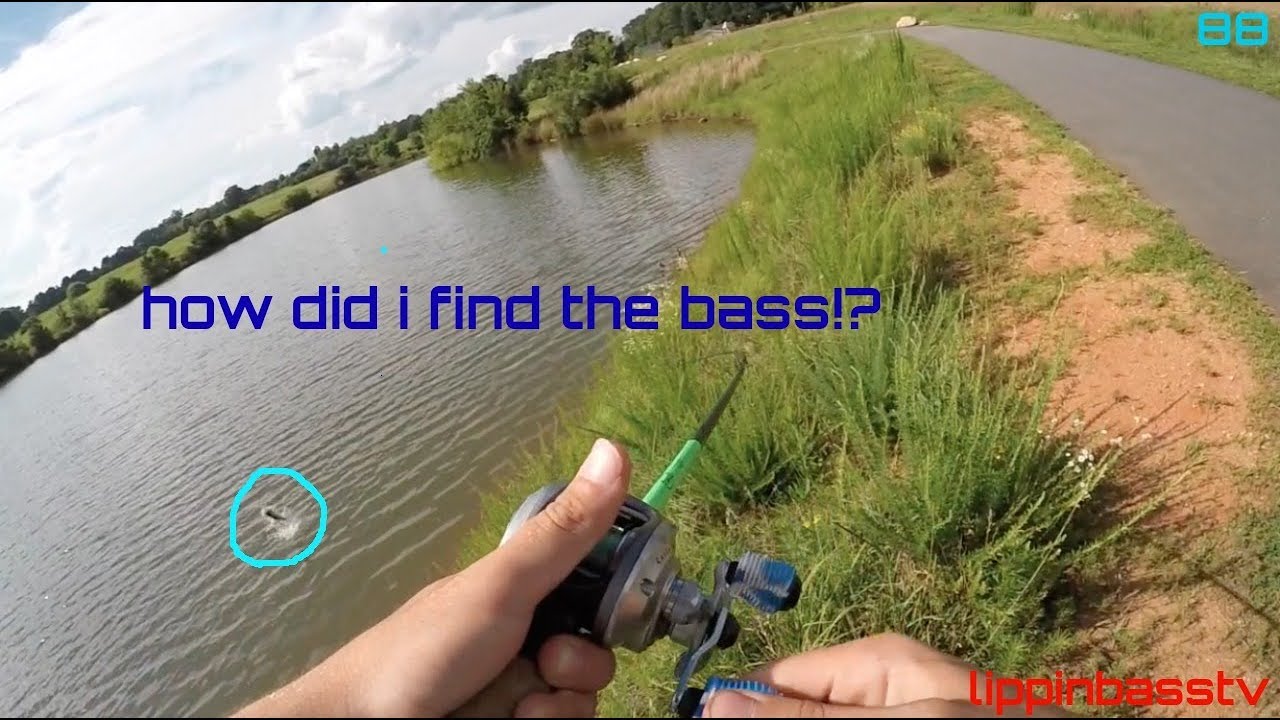 This is how I find fish EVERYTIME!!! - YouTube