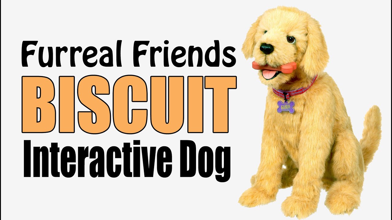 SOLD - Furreal Friends Biscuit Interactive Golden Dog Puppy Pet ...