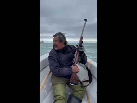 Hunting walrus in “Nottingham Island” - YouTube