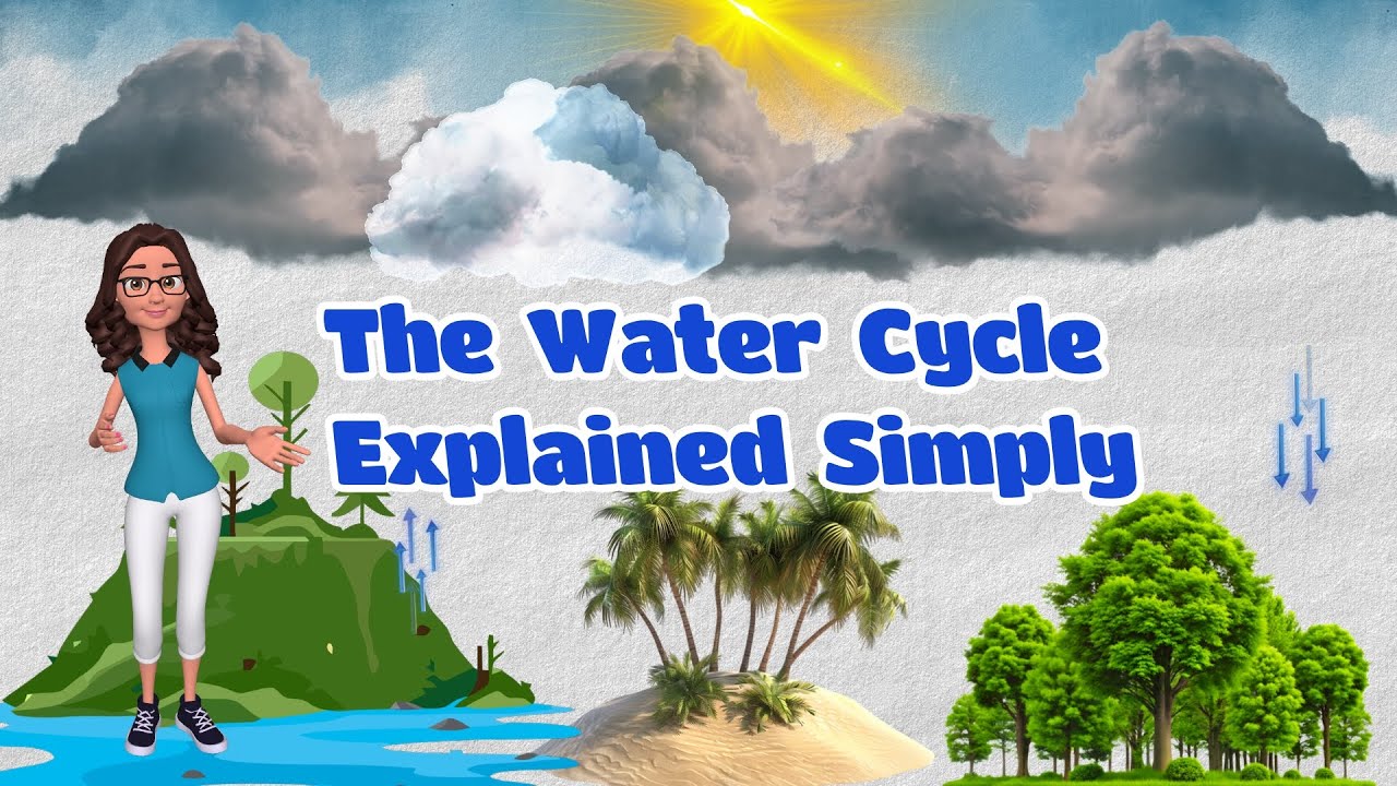 🌎💧 Easy Water Cycle Explanation : The Magical Journey of Water 🌦️ - YouTube