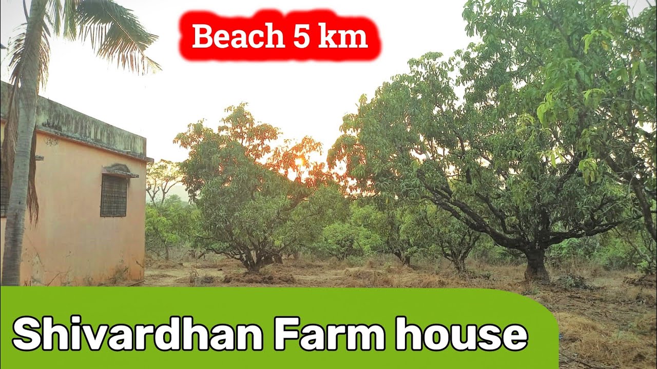 ID 161/7 Mango farm house Beach just 5 km Shrivardhan ,आंबा नारळ ...