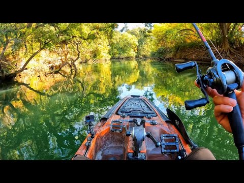 Fishing Trees in a Narrow River - YouTube