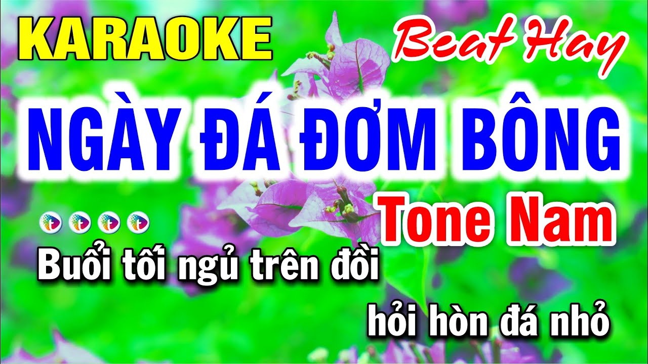 Karaoke Ngày Đá Đơm Bông (Beat Hay) TONE NAM Nhạc Sống | Lâm Hiền Karaoke ♫ - YouTube