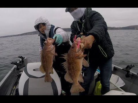 Tomales Bay Rock Fish. Easy Limits, Catch And Cook. - YouTube