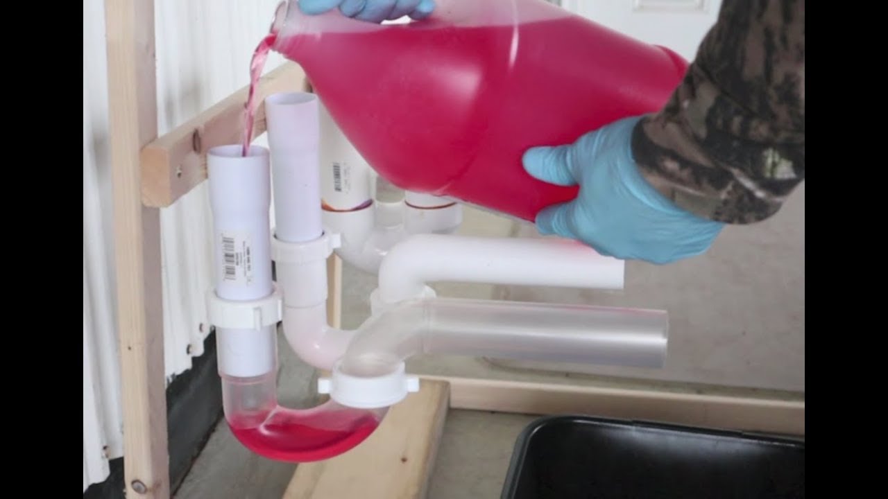 Polar Vortex -2 degrees F, can P traps survive? - YouTube