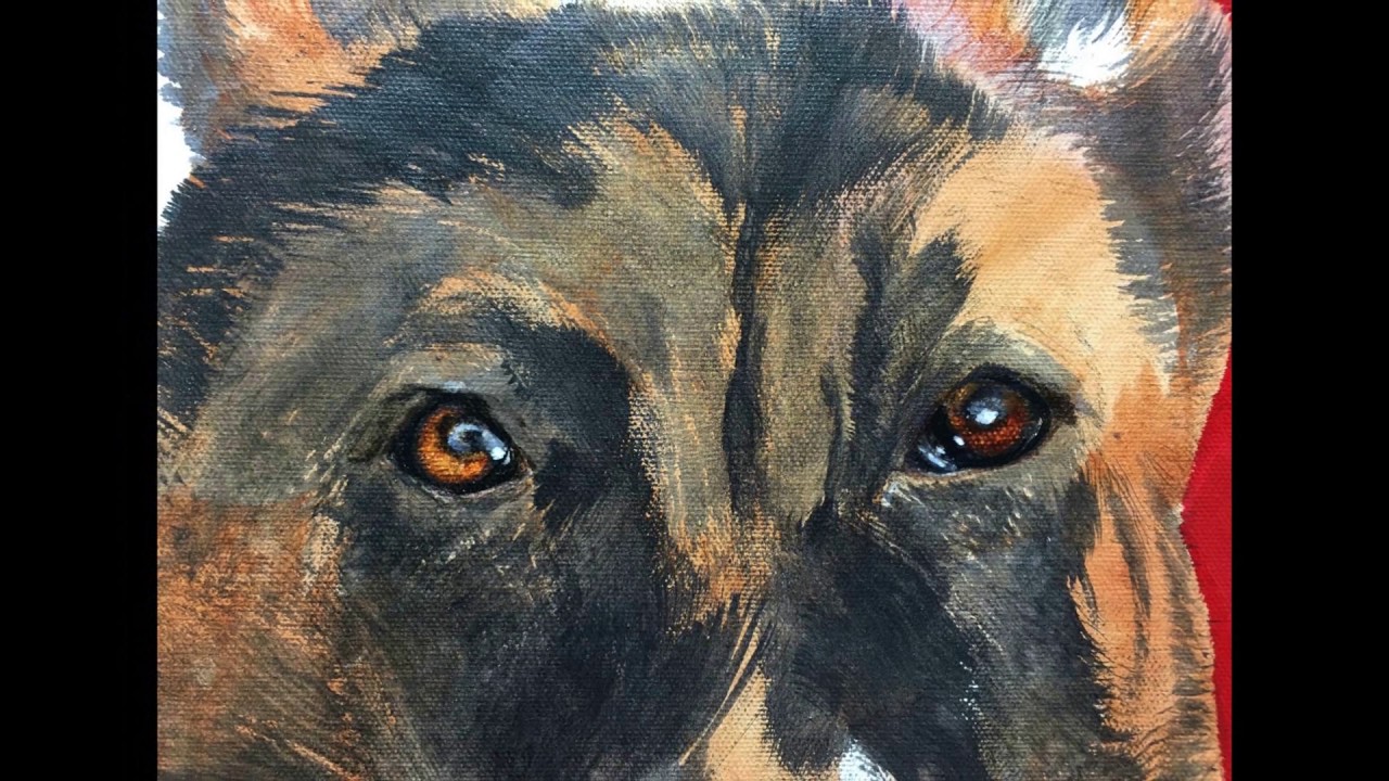 K9 Hero Portrait Project - K9 Diesel video - for Embassy of France ...