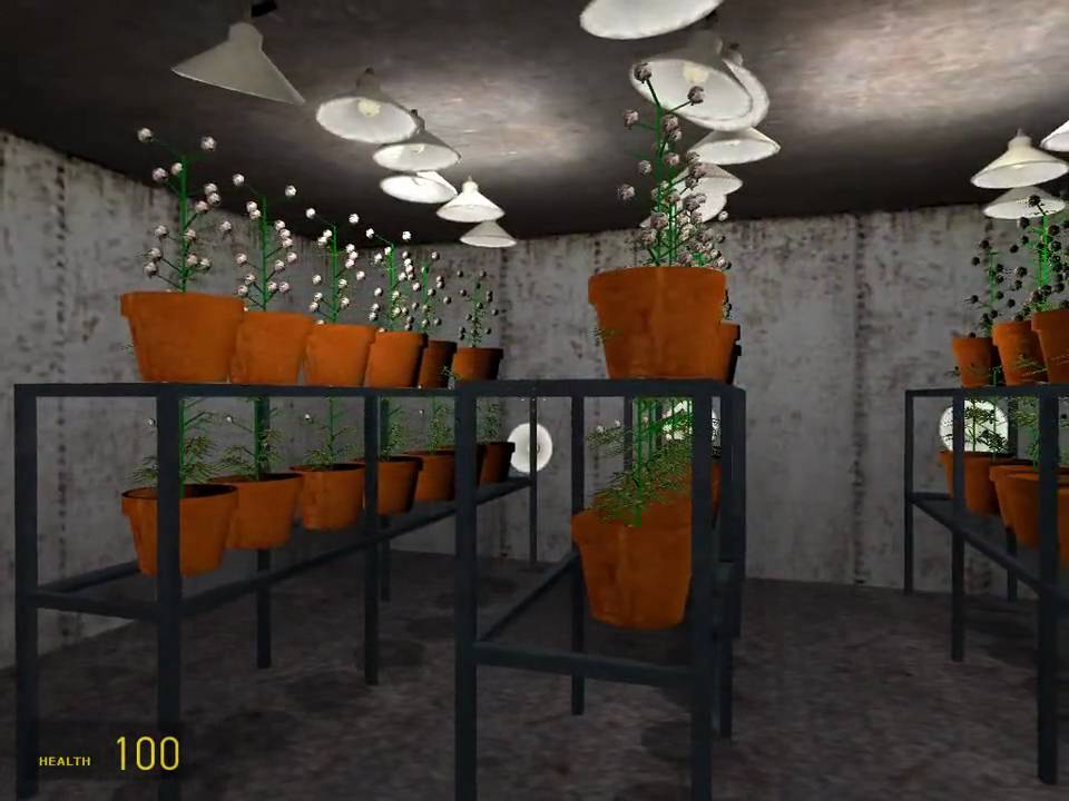 Garry's mod - Medical Marijuana Shop and Grow House - YouTube