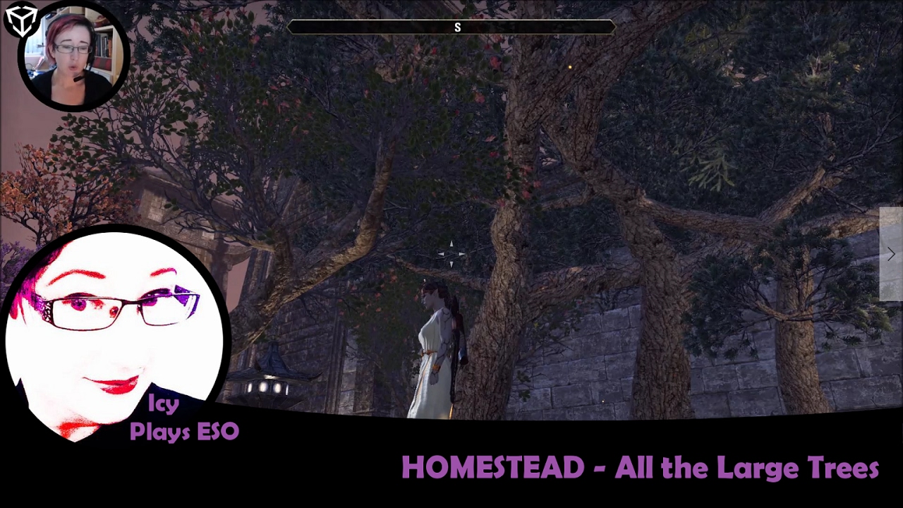 ESO PTS | Homestead - All the Big Trees | Icy Talks 20170218 - YouTube