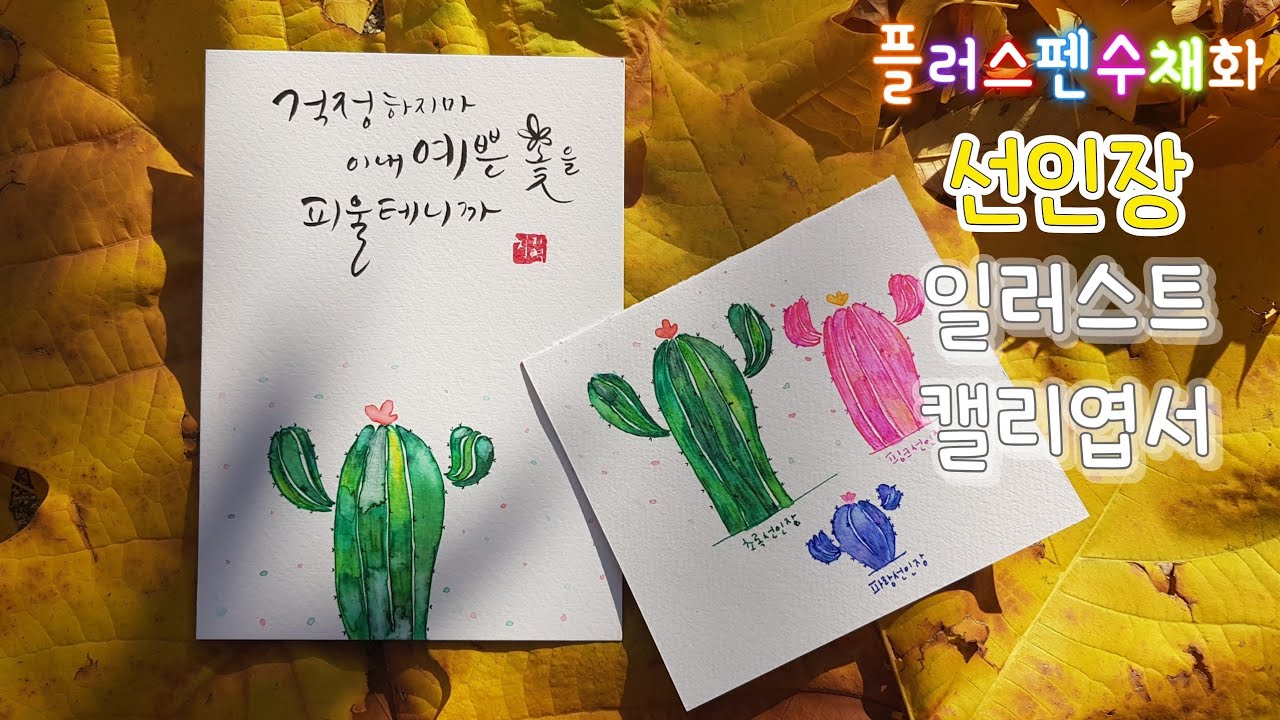 플러스펜수채화캘리그라피 선인장 일러스트 엽서 플러스펜수채화 수성펜수채화 수채캘리 Youtube