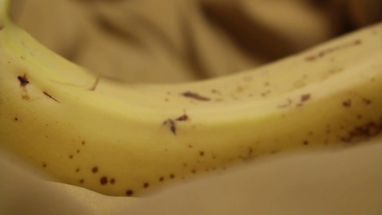 Banana Asmr Youtube