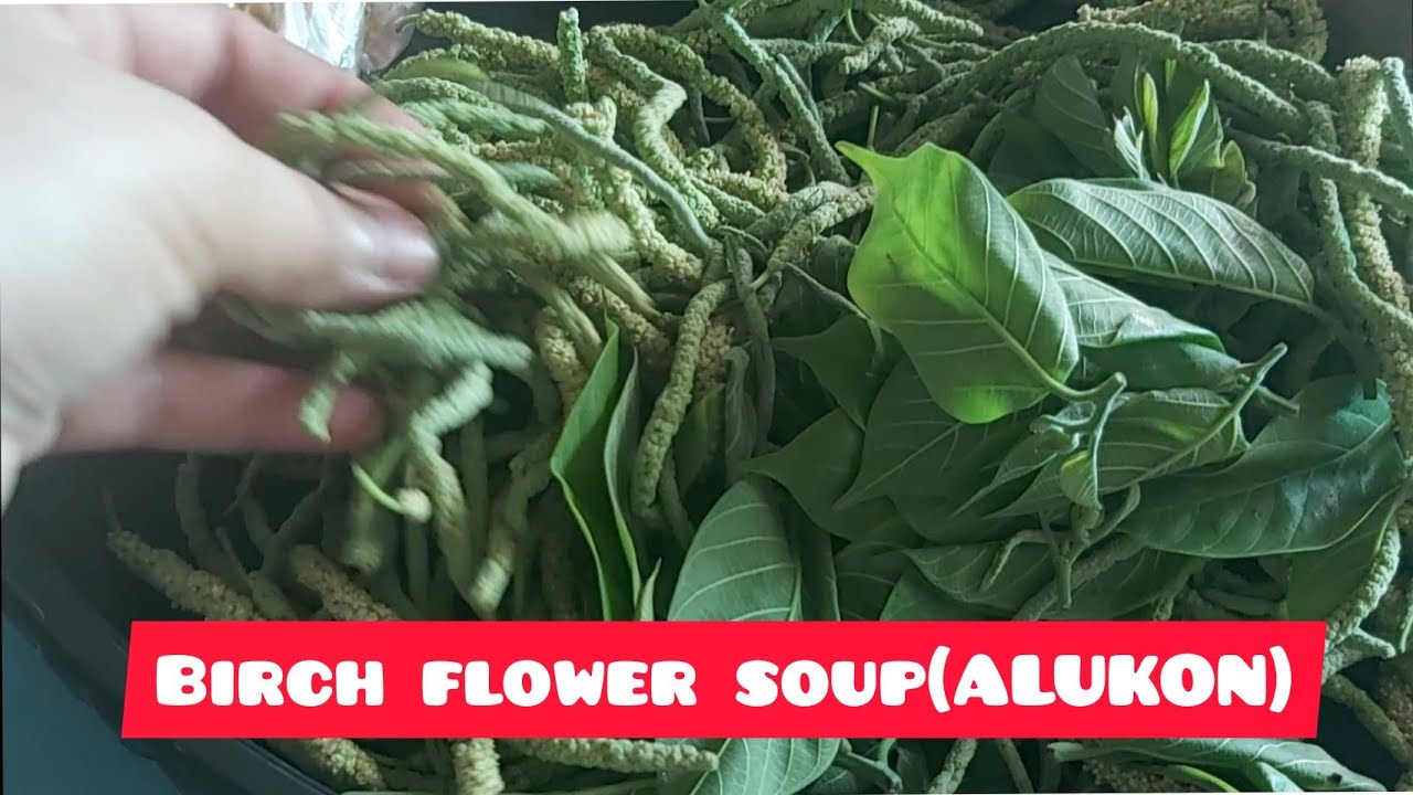 COOKING BIRCH FLOWER SOUP(ALUKON ILOCANO DISH) #lifeinprovince - YouTube