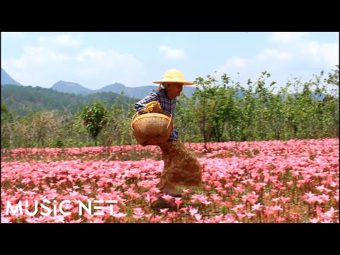 ဟန်သာ( Han Tar) - အိမ်လွမ်းတိမ်