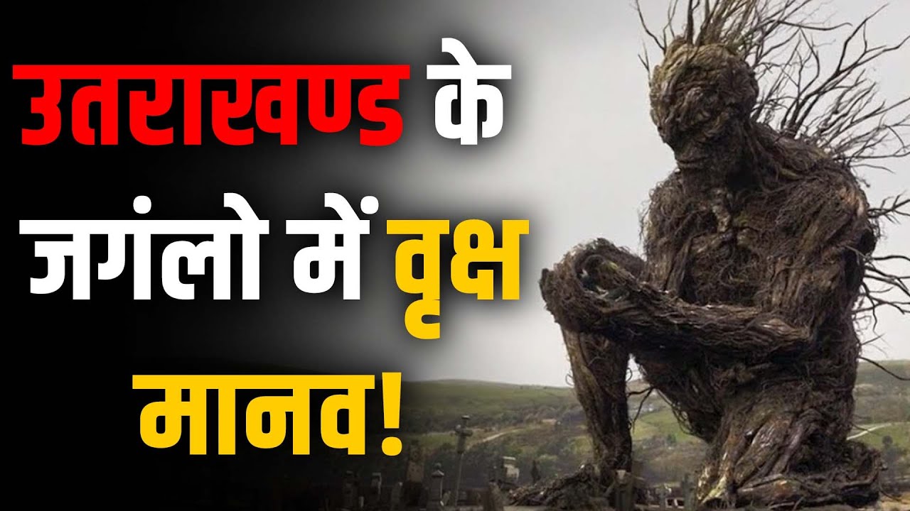Untold Story: कौन है वृक्ष मानव? | Vishweshwar Dutt saklani tree man of ...