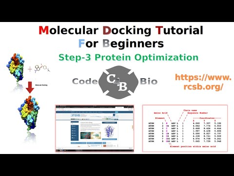 Molecular Docking | Step-3 | Protein Optimization | Hands on Tutorial | DockingSoftware ...