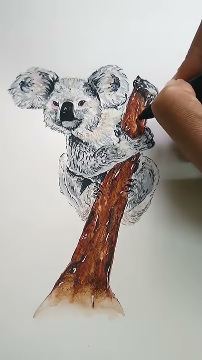Koala Bear Watercolor Painting - YouTube