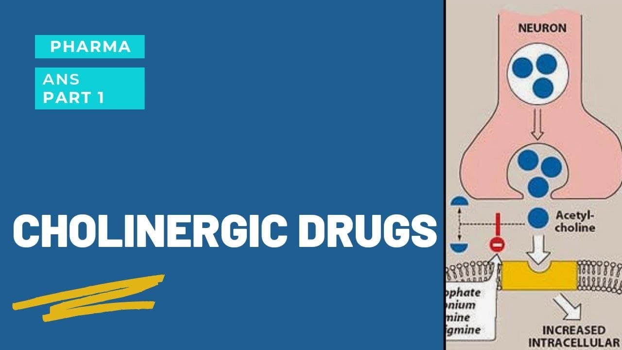 Cholinergic Drugs (ANS Pharmacology in English) - YouTube