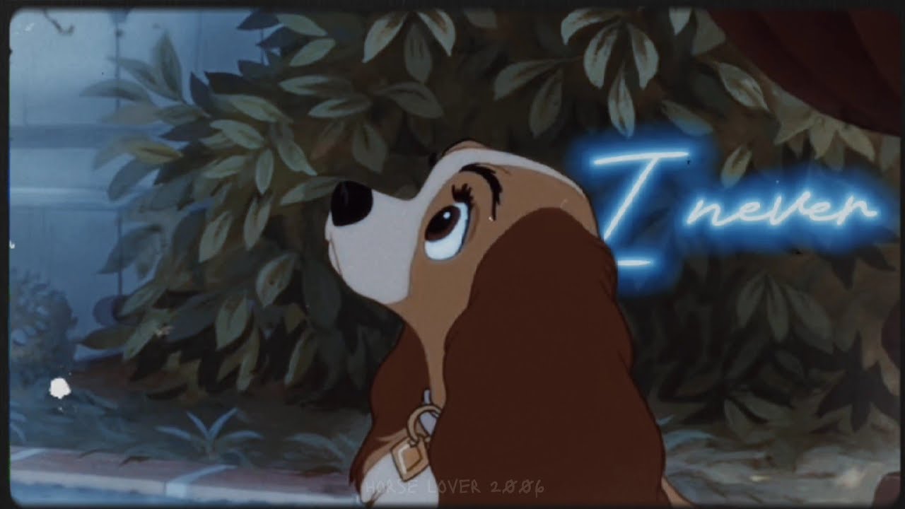Never Felt So Alone | Lady And The Tramp Edit - YouTube