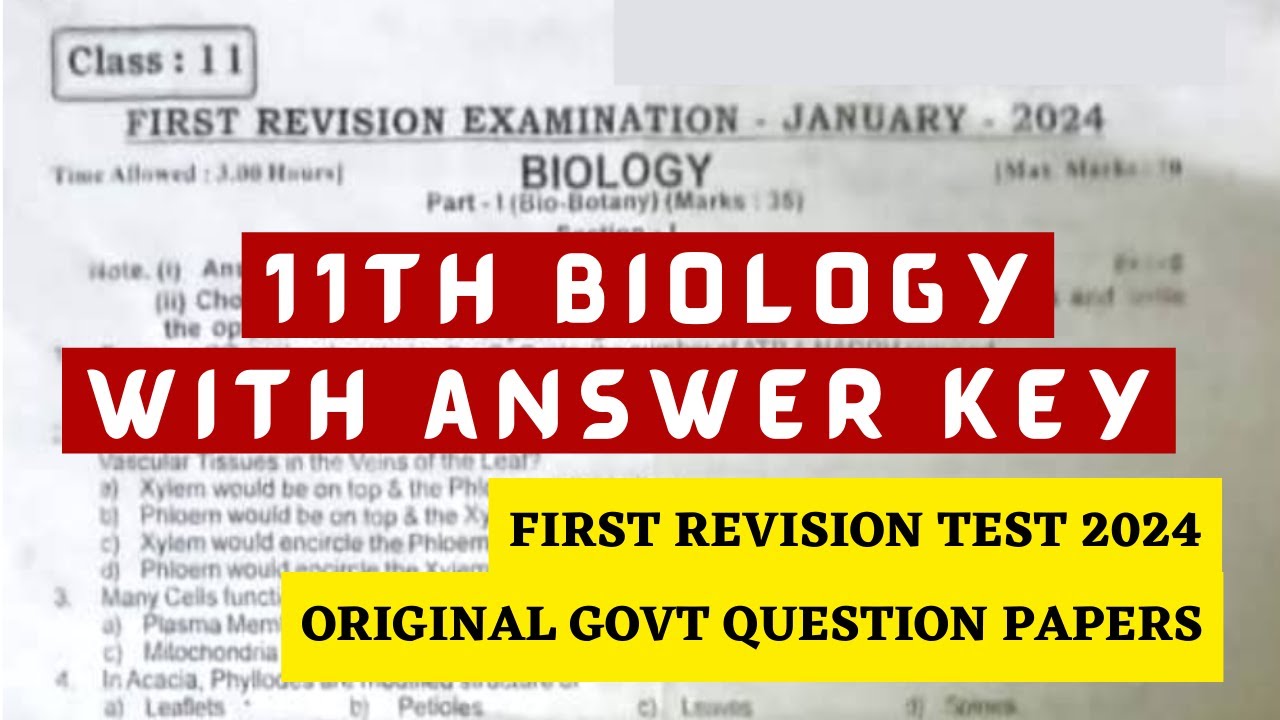 11th Biology First Revision Test 2024 Question Paper 11th Biology 1st 11th-biology-first-revision-test-2024-question-paper-11th-biology-1st