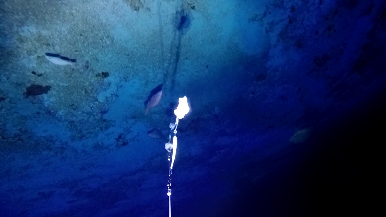 some deep drop footage - YouTube