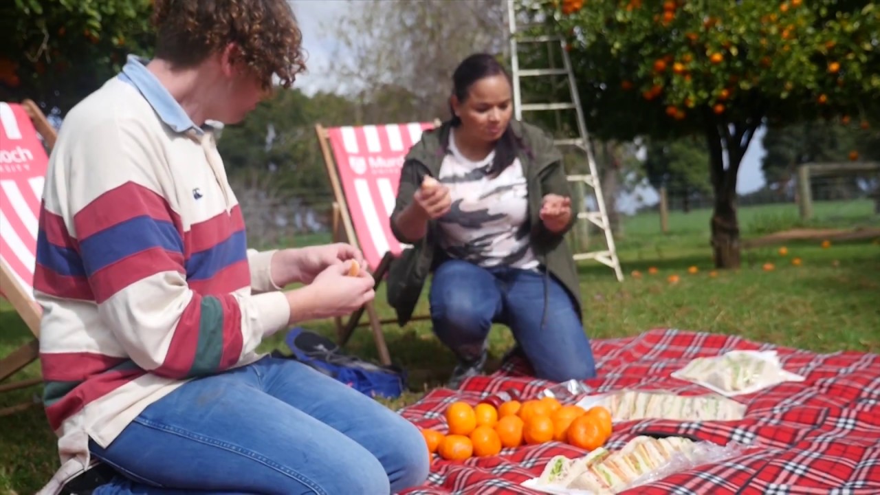 Whitby Falls Farm - YouTube