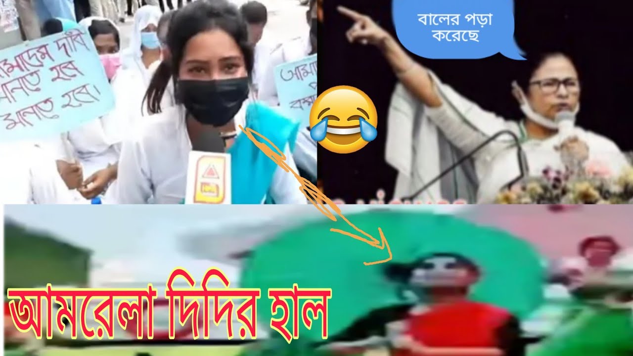 Amrela Umbrella || Amrela song 🤣😆😱 @Amrela - YouTube