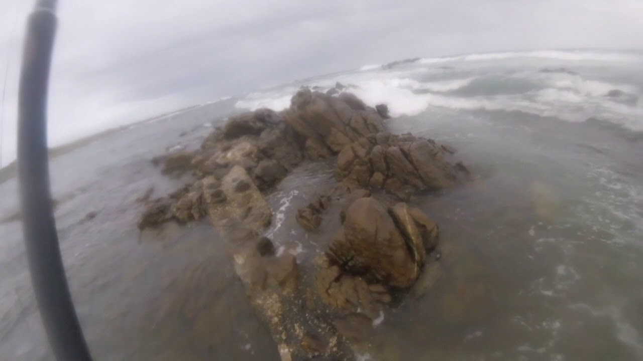 Fish Port Elizabeth. Pt 3. Musselcracker ripping drag @ Marine Drive ...