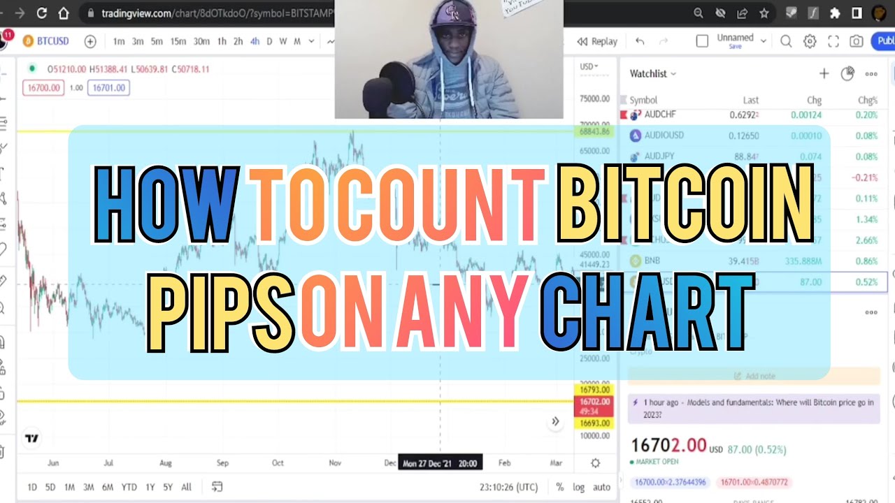 How to Count Bitcoin Pips | 4 Tips Every Trader Must Know - YouTube