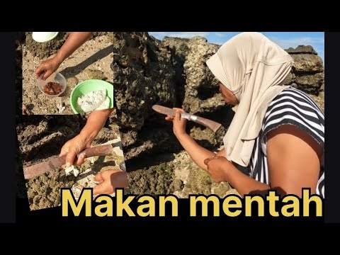 MAKAN MENTAH Clup Tiram di Kuah Asam || Survival Ata Modo - YouTube